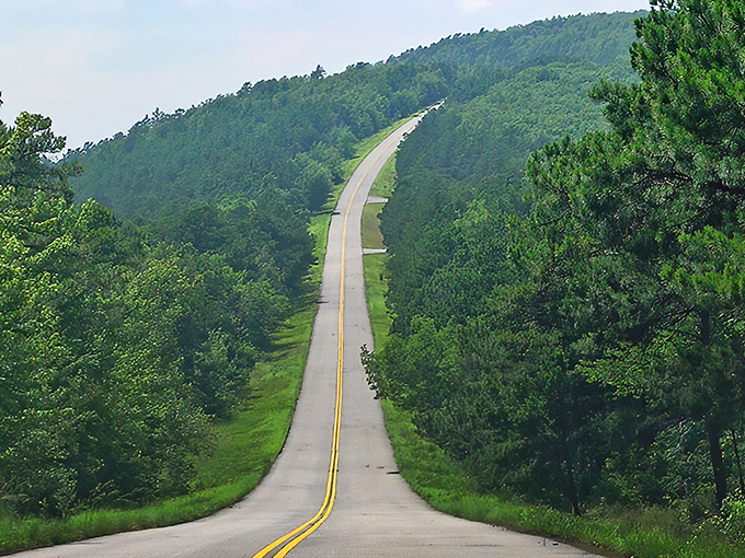 The road less traveled beckons with endless possibilities. This stretch of the Talimena Scenic Drive offers a perfect metaphor for life's journey.