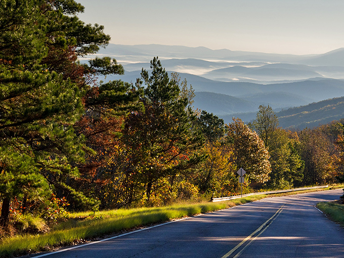 The road less traveled beckons with endless possibilities. This stretch of the Talimena Scenic Drive offers a perfect metaphor for life's journey.