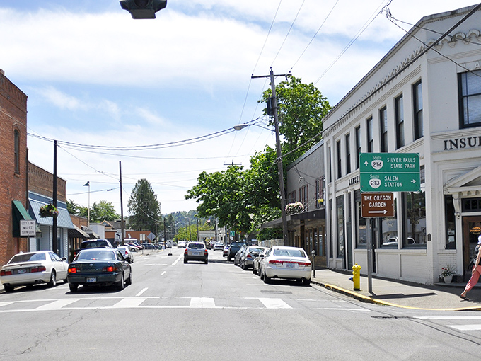 You can enjoy a stroll through this charming downtown street while following the green signs to nearby scenic nature parks.