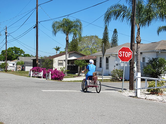 Where palm trees meet prayer caps: A resident navigates Pinecraft's quiet streets on a three-wheeled bicycle, the preferred transportation in this unique Amish-Mennonite enclave. 