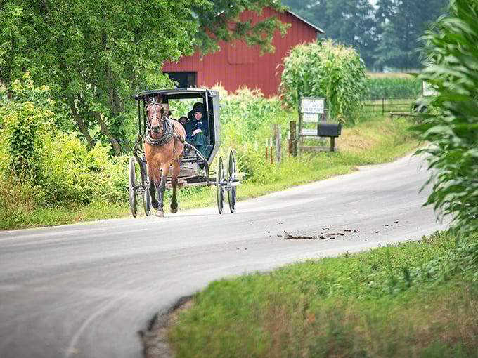 The clip-clop symphony of Amish country &ndash; where horse-drawn buggies and red barns create a living postcard of simpler times.