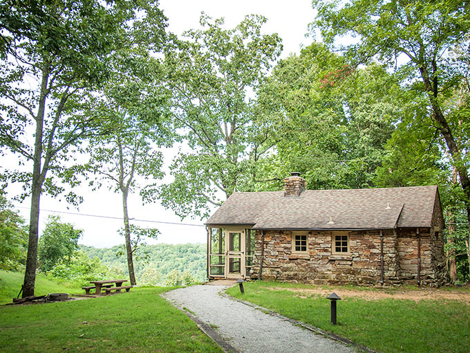 Misty morning magic unfolds as a hiker and furry companion traverse Monte Sano's leaf-strewn trails. Nature's own meditation studio, no subscription required.