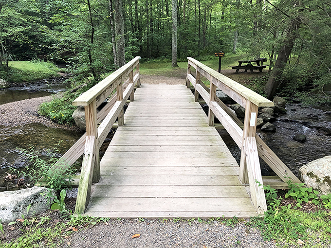 A wooden footbridge invites you into Macedonia Brook's verdant wonderland. Nature's welcome mat says, "Come on in, the serenity is fine!"