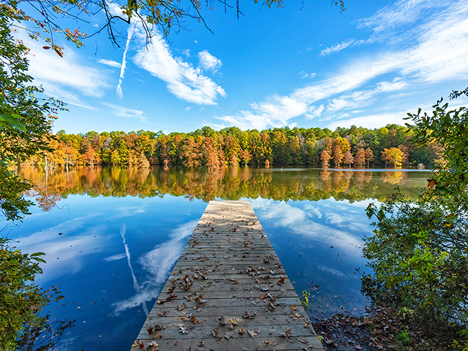 A wooden dock stretches into mirror-like waters, autumn's palette reflected perfectly. Nature's own infinity pool, Delaware-style.