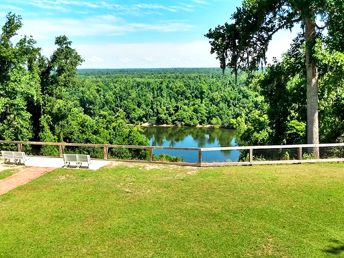 The view that makes you question your GPS. Torreya's sweeping panorama of the Apalachicola River valley feels more like Appalachia than Florida.