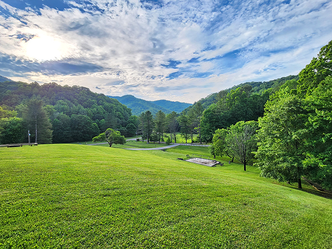 Nature's amphitheater unfolds at Roan Mountain, where rolling green hills meet blue skies in a performance that never gets old.