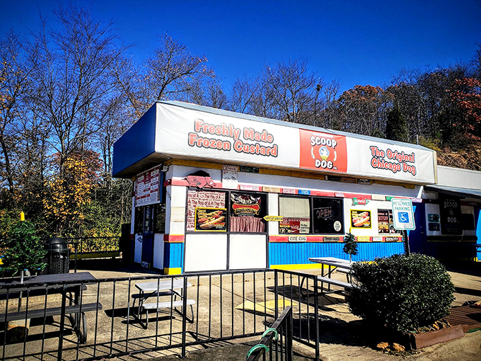 The blue and white facade of ScoopDog stands like a colorful time capsule, promising nostalgic flavors that transport you back to simpler times.
