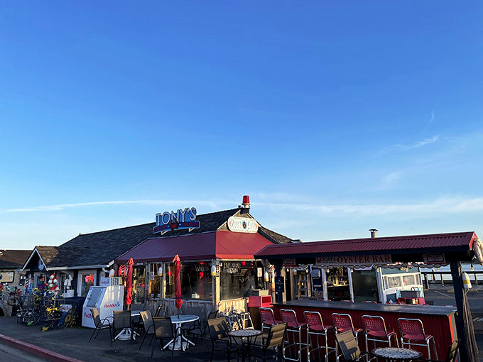 The neon sign beckons like a lighthouse for hungry sailors. Tony's Crab Shack promises seafood salvation on Bandon's waterfront, where fresh catches and ocean views converge.