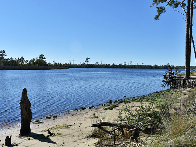 Nature's mirror: The Ochlockonee River reflects the sky like a giant, watery selfie stick. Florida's hidden gem serves up serenity with a side of breathtaking views.