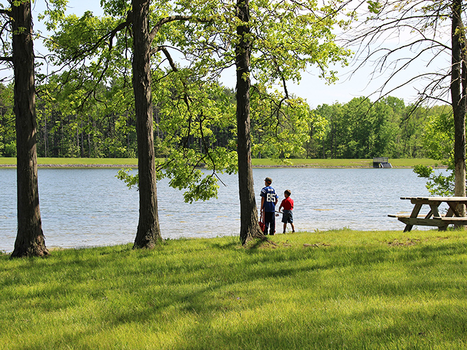 A bird's-eye view of paradise! Ouabache State Park unfolds like nature's own patchwork quilt, with lush forests, winding roads, and a shimmering lake.