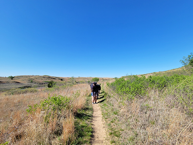 The trails at Kanopolis beckon adventurers with their winding paths through prairie grasses, where hikers discover that Kansas flatness is nothing but a persistent rumor.