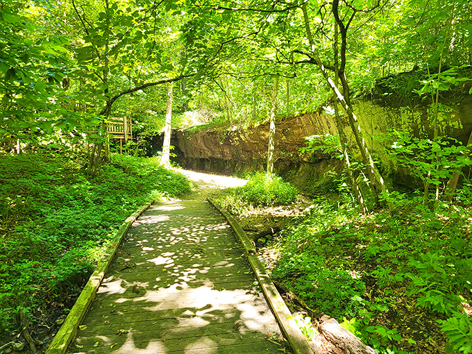 A mysterious cave beckons, promising adventure and prehistoric secrets. Indiana Jones, eat your heart out!