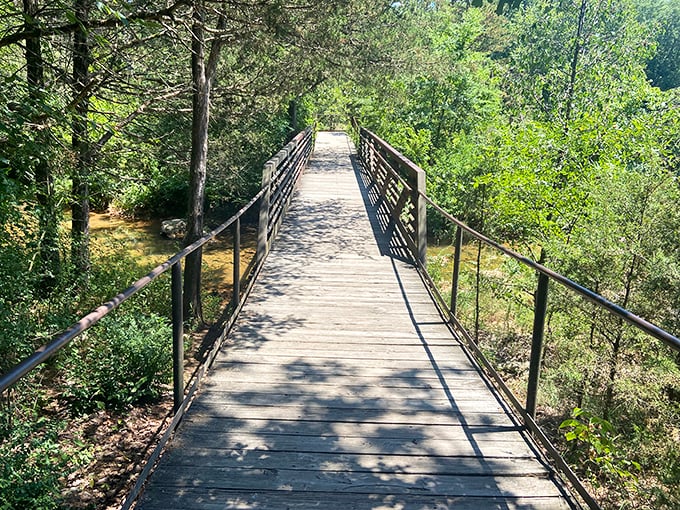 Nature's own water park! This cascading wonder at Natural Falls State Park puts any man-made slide to shame.