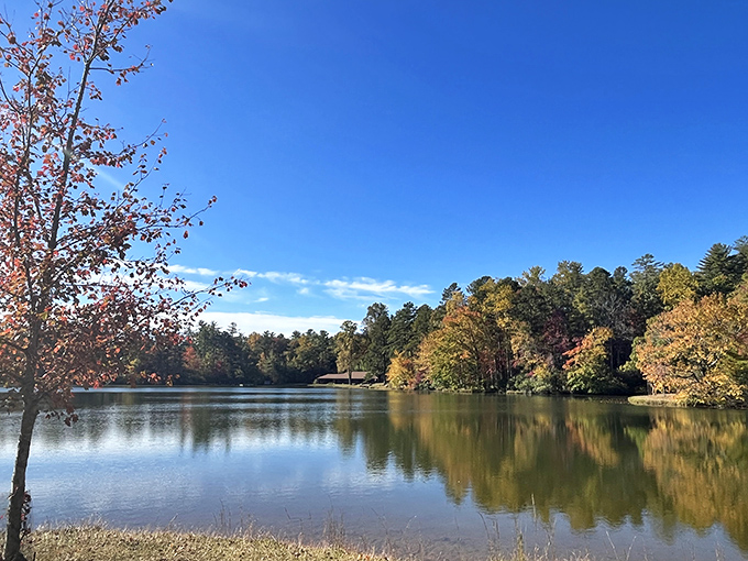 Fall's golden touch transforms Oconee's lake into nature's mirror, reflecting autumn's palette with a serenity that makes you forget deadlines even exist.