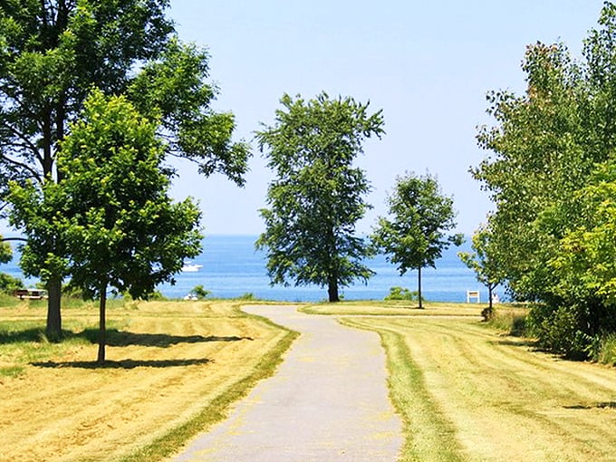 A wooden footbridge beckons through a verdant forest canopy, promising adventure without the need for Indiana Jones' whip or fedora.