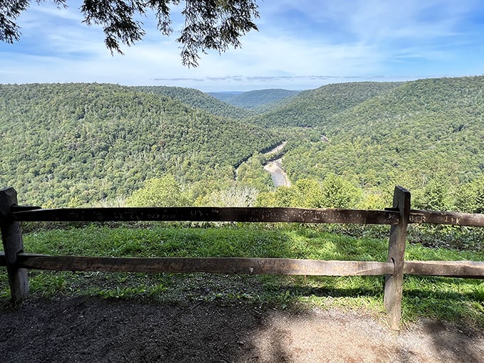 The rocky shores of Loyalsock Creek invite you to dip your toes or skip stones. Nature's playground doesn't come with instructions, just endless possibilities.