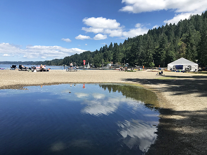 Where forest meets shoreline in perfect harmony. Towering evergreens stand guard over picnic tables, with Hood Canal's inviting waters just steps away.