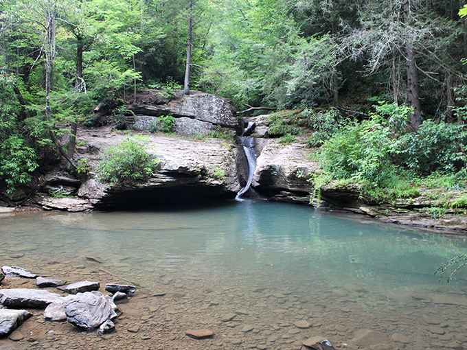 Nature's perfect staircase – this waterfall at Holly River State Park cascades down rock formations like it's auditioning for a role in National Geographic.