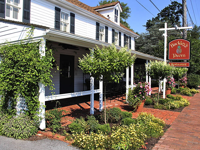 The historic white clapboard exterior of Buckley's Tavern welcomes visitors with lush greenery and brick pathways, a Delaware landmark since the 1700s.