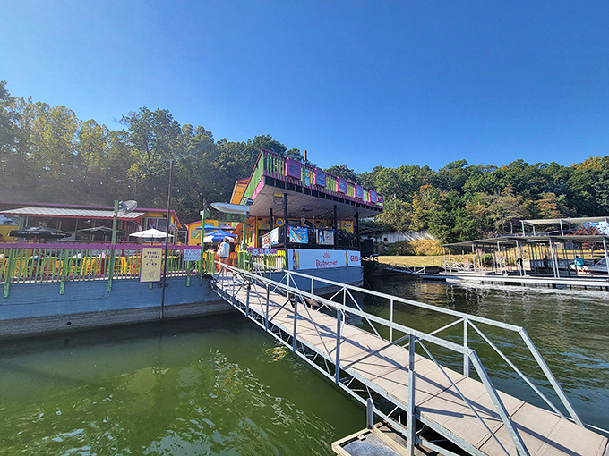 The lakeside dining deck offers that perfect combination: breathtaking water views and the anticipation of seafood that's about to rock your world. 