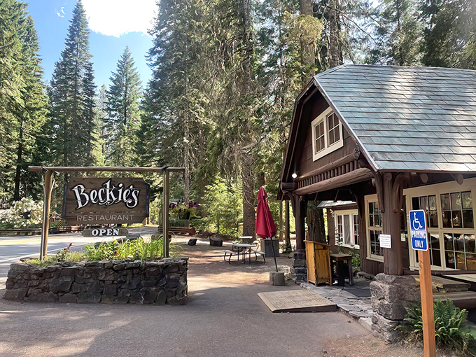 Nestled among towering pines, Beckie's rustic cabin exterior promises woodland charm and homestyle comfort before you even step inside. 