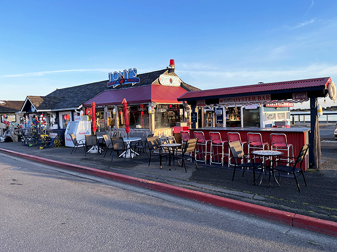 The neon sign beckons like a lighthouse for hungry sailors. Tony's Crab Shack promises seafood salvation on Bandon's waterfront, where fresh catches and ocean views converge. 