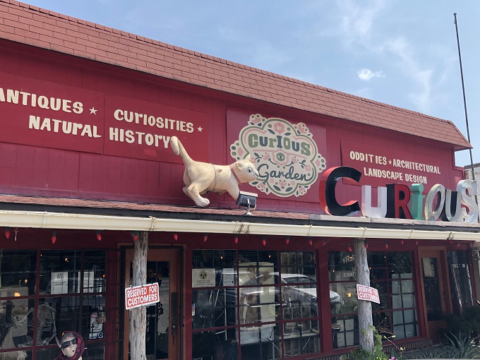 The vibrant red exterior of Curiosities stands out like a beacon of eccentricity, promising treasures that would make any collector's heart skip a beat.