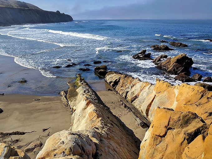 Nature's own masterpiece unfolds where dramatic cliffs meet pristine shoreline. Schooner Gulch offers the kind of solitude that makes you forget about your inbox completely.