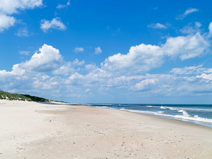 Miles of pristine shoreline stretch before you, untouched by development&mdash;nature's version of social distancing before it was fashionable.