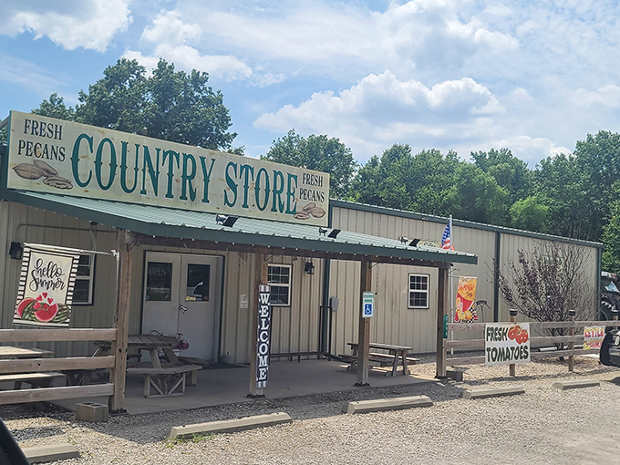 The unassuming exterior of Circle's Pecans & Country Store proves that culinary treasures often hide in plain sight. Those rocking chairs aren't just decoration&mdash;they're an invitation.