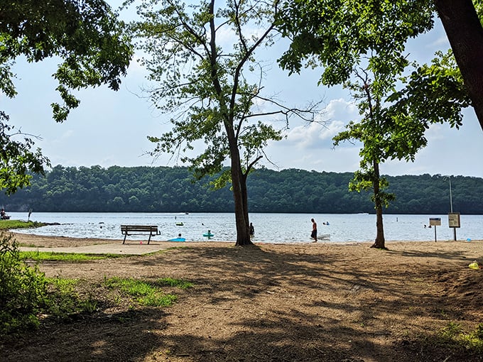 Nature's perfect balance: towering trees frame the sandy shoreline while gentle waves invite visitors to wade into the clear blue waters of this hidden paradise.