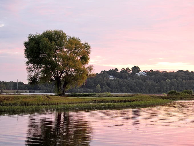 Dawn breaks over Beaverfork Lake like nature's own watercolor painting, where the trees and sky perform their daily mirror dance.