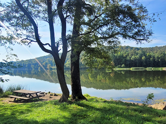 Nature's perfect pairing: a serene lakeside picnic spot where time slows down and reflections double the beauty of Oklahoma's wooded hills.