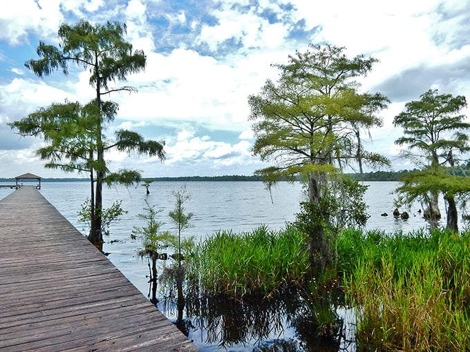 Who needs a Caribbean getaway when you've got this? Singletary Lake's wooden pier stretches into tranquil waters, inviting you to leave your worries on the shore.