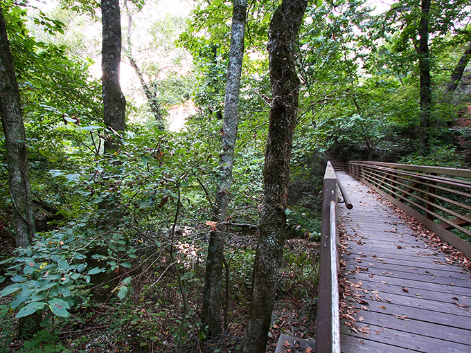 Nature's own water park! This cascading wonder at Natural Falls State Park puts any man-made slide to shame.