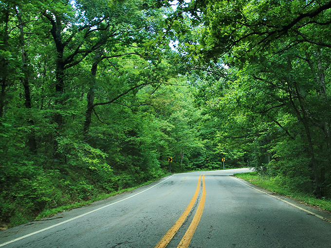 Where adventure begins! The open road of the Pig Trail stretches before you like nature's welcome mat into the Ozark wilderness.