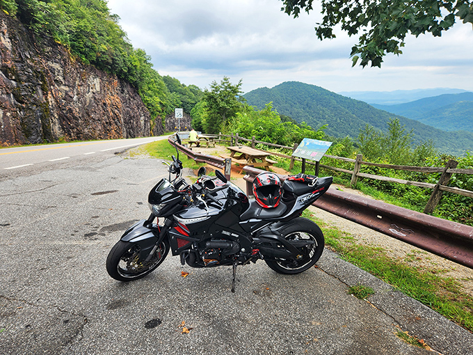 Nature's green tunnel beckons with promises of adventure. This stretch of the Russell-Brasstown Byway feels like driving through an emerald cathedral.
