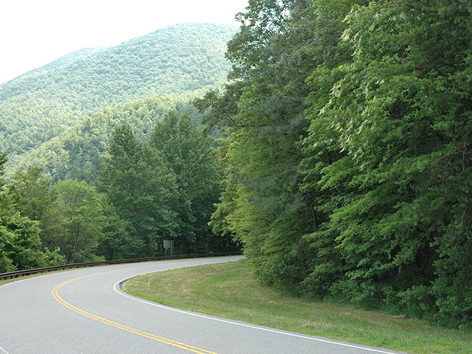 The Cherohala Skyway curves gracefully through autumn's explosion of color, nature's own masterpiece unfolding where North Carolina meets Tennessee's mountainous border. 