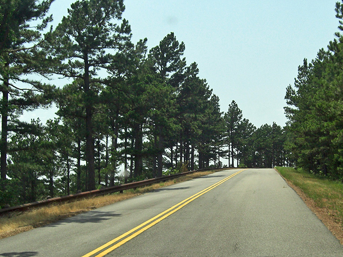 The road less traveled beckons with endless possibilities. This stretch of the Talimena Scenic Drive offers a perfect metaphor for life's journey.
