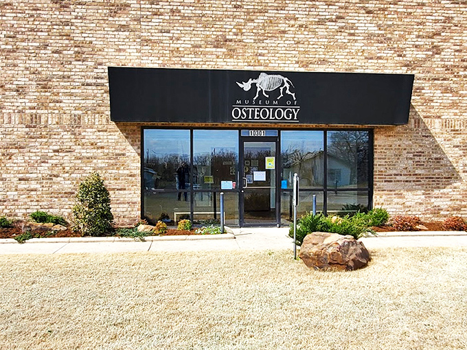 The unassuming brick exterior of Oklahoma City's Museum of Osteology gives no hint of the 300+ skeletons waiting inside. Like finding a diamond mine behind a convenience store.