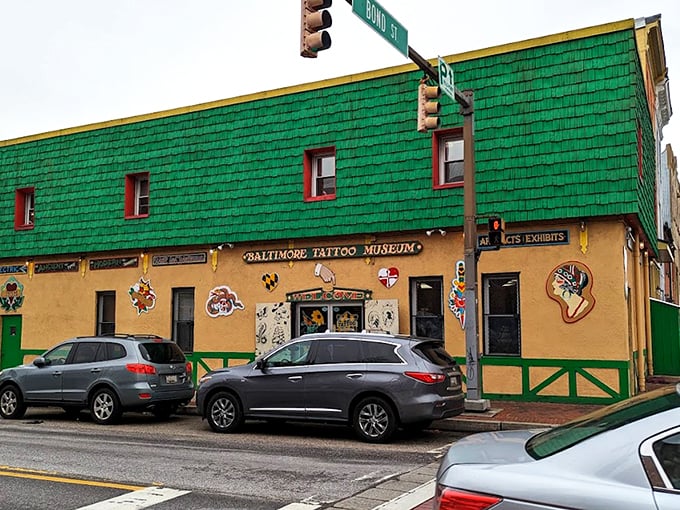 The emerald-shingled building stands out like a peacock at a pigeon convention, its vibrant yellow base and tattoo-adorned façade announcing something wonderfully different awaits inside.