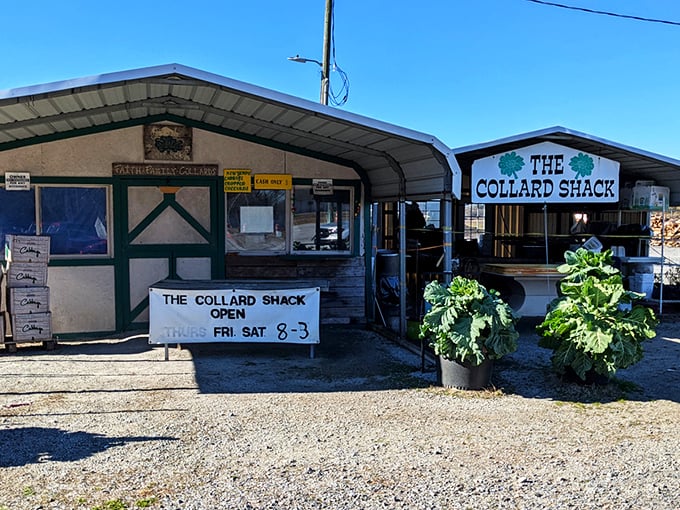 The humble exterior of Skylight Inn BBQ belies the culinary treasures within. No fancy frills needed when the smoke signals speak for themselves.