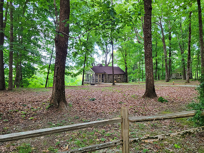 Misty morning magic unfolds as a hiker and furry companion traverse Monte Sano's leaf-strewn trails. Nature's own meditation studio, no subscription required.