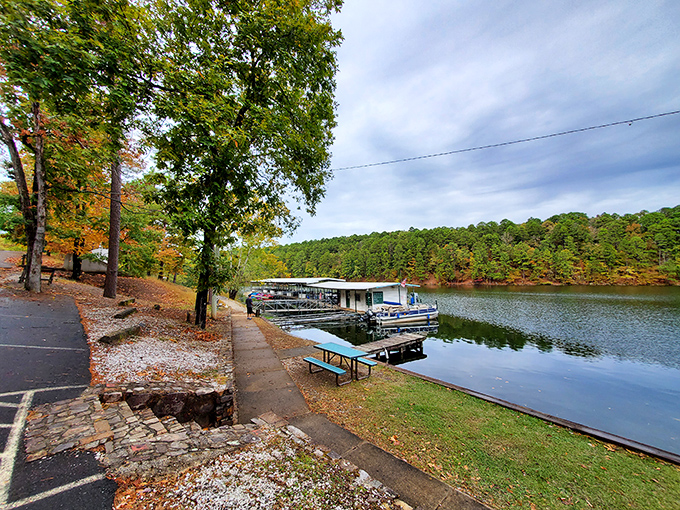 A wooden dock stretches toward infinity, inviting you to walk straight into a postcard. Mother Nature showing off again.