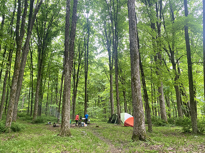 A wooden footbridge invites you into Macedonia Brook's verdant wonderland. Nature's welcome mat says, "Come on in, the serenity is fine!"