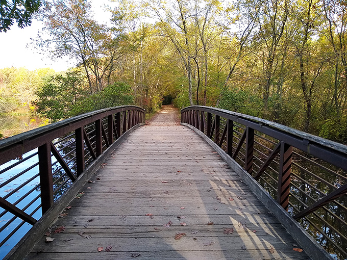 A lone bicycle waits patiently on a weathered dock, as if saying, "Take a moment, will you? This sunset reflection isn't going to appreciate itself."
