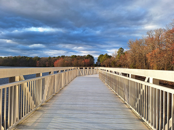 An aerial paradise that proves Delaware hides its best secrets in plain sight. The colorful boat dock beckons water lovers to dive into adventure.