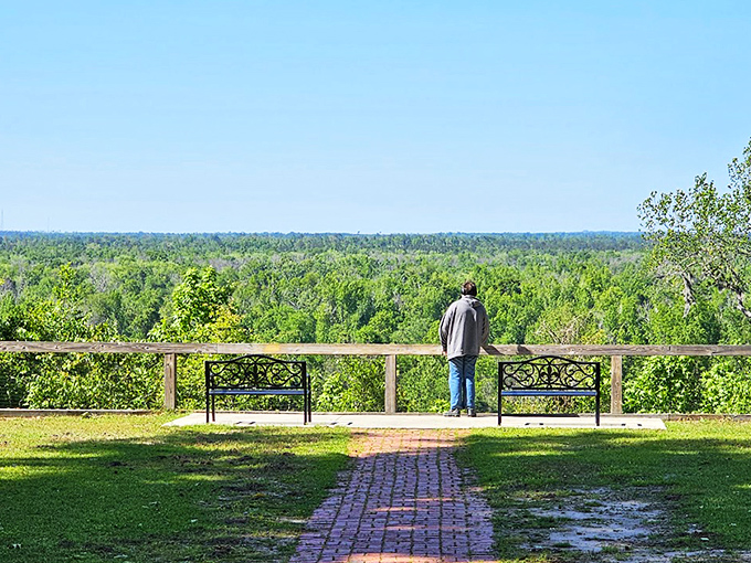 The view that makes you question your GPS. Torreya's sweeping panorama of the Apalachicola River valley feels more like Appalachia than Florida.