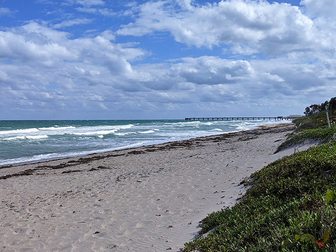 Nature's red carpet to the horizon. This wooden boardwalk through lush coastal vegetation offers that perfect "I've discovered something magical" moment at sunrise.