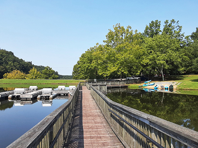 The wooden dock stretches across tranquil waters, inviting adventurers to choose between fishing platforms or colorful kayaks waiting at shore.